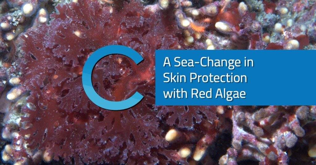 A Sea-Change in Skin Protection with Red Algae - Coast Southwest